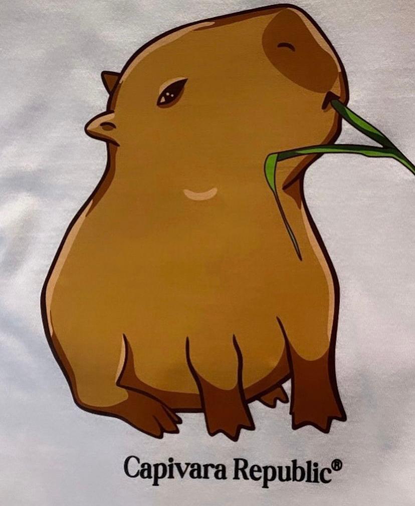 Camiseta Infantil Capivara Republic® Capi Capim Rosa Barbie - Capivara ...